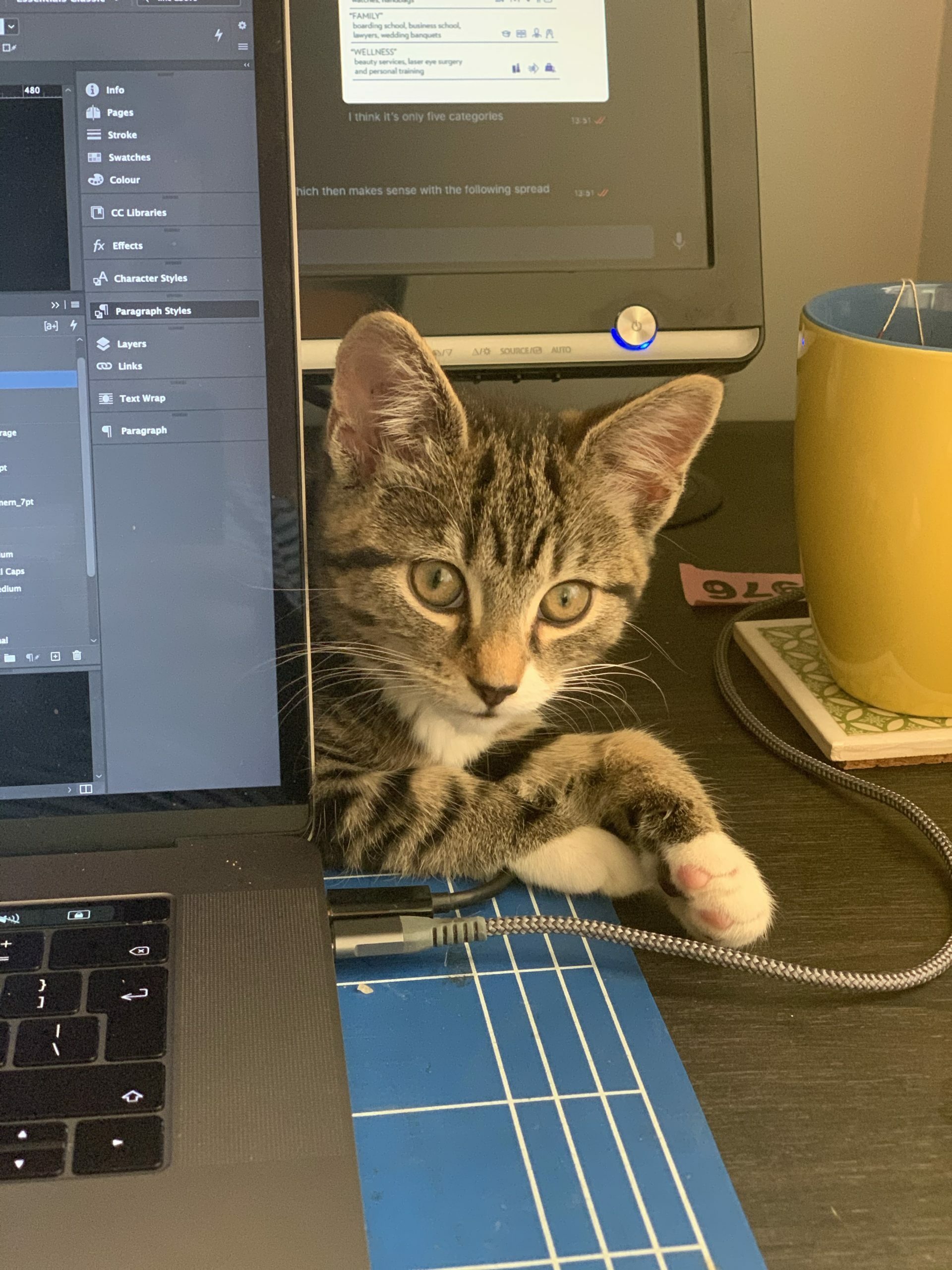 Admin? The stick of creative work.